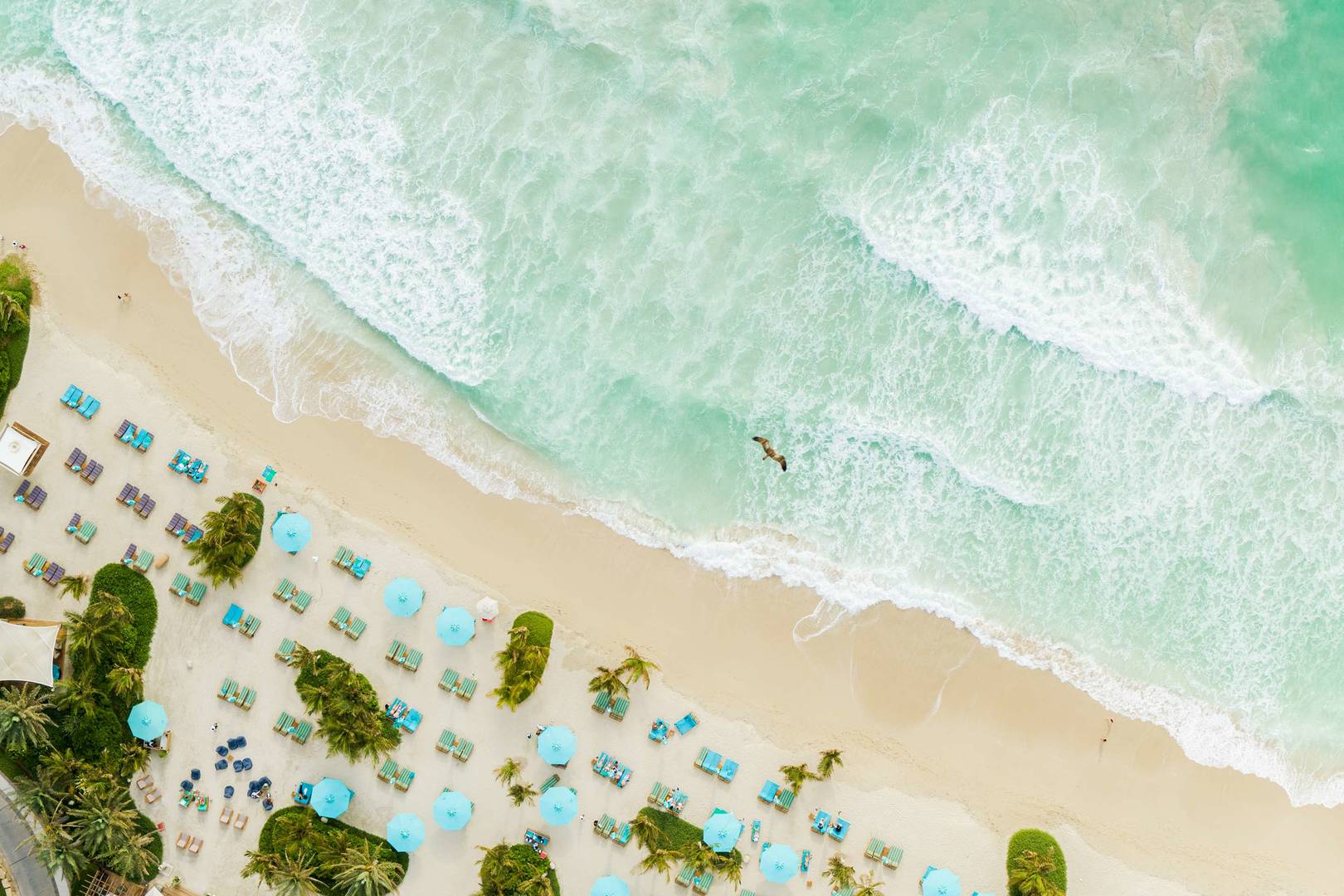 The best beach clubs in Dubai- take a look around - UAE24x7